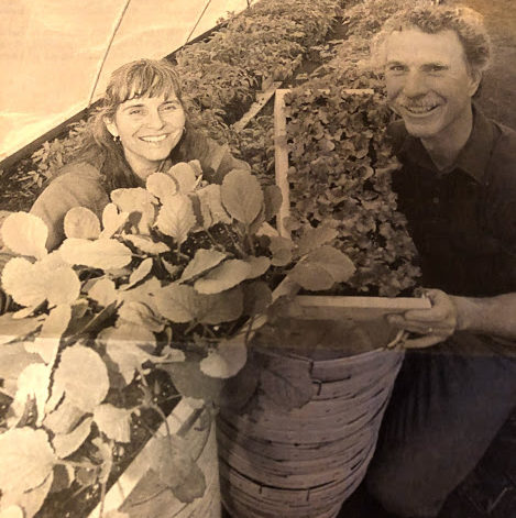 Lilliput Farm – Living and Growing Sustainably since 1986