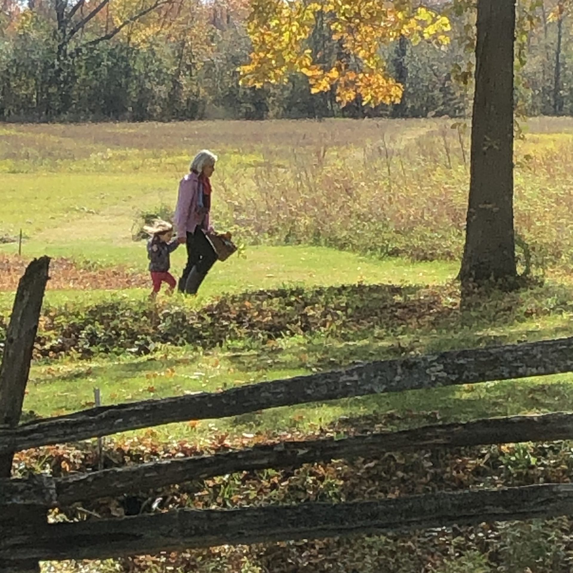 Lilliput Farm – Living and Growing Sustainably since 1986